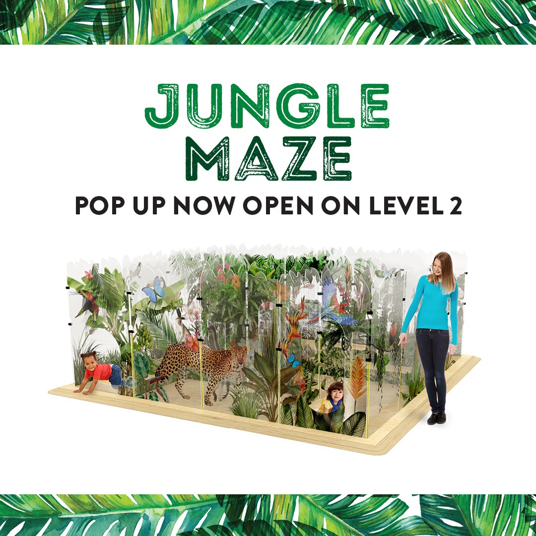 Kids Maze - St Ives Shopping Village